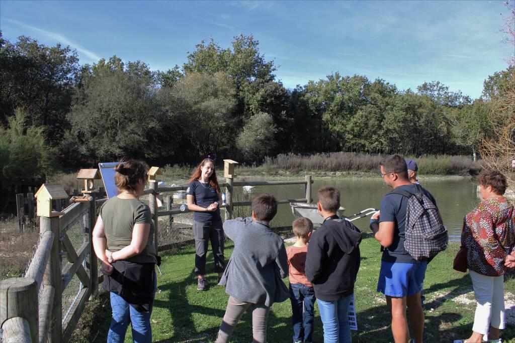 Tout savoir sur les nichoirs - Rondleidingen en natuurexcursies